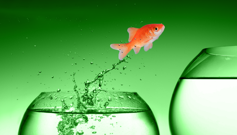 Optimistic Brain | Center Yourself and Soar